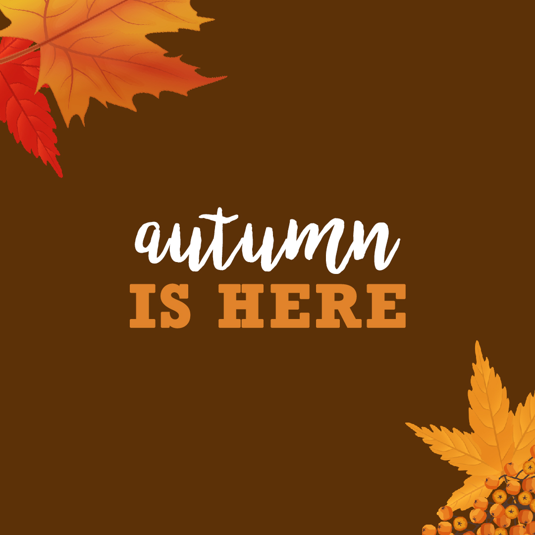 Fall – Autumn Is Here – ChurchMediaHQ